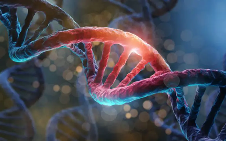 This is How Far Back DNA Generations Go - GenealogyYou