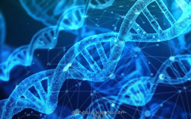 How Much DNA Do Half Siblings Share? - GenealogyYou