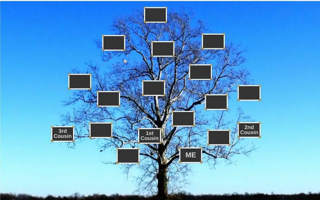 What is a Third Cousin? How Are They Related? - GenealogyYou